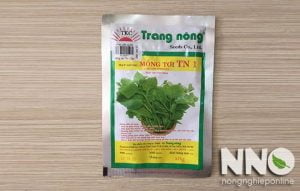 Cây mồng tơi, tổng hợp những điều cần biết về loại rau quen thuộc này